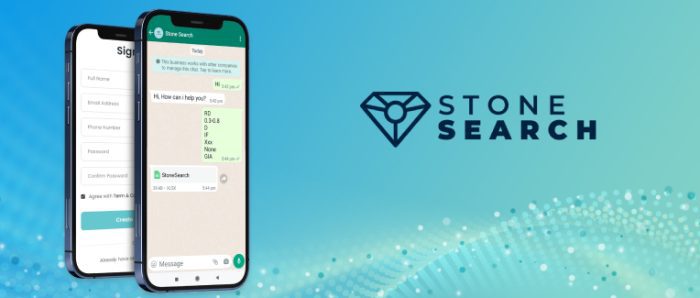 Stone Search - Future Face Tech